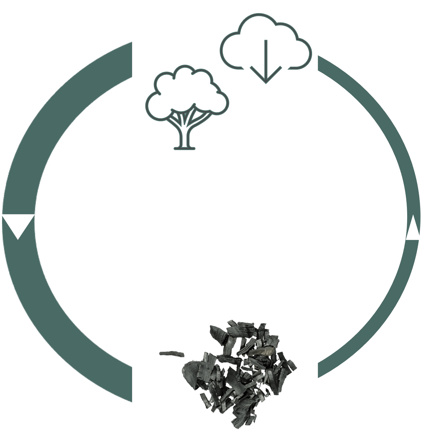 About biochar – enchar